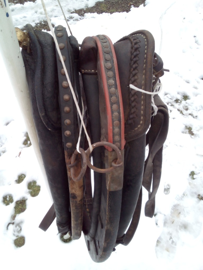 Homonto i lejce dla konia | Tarnowiec | Ogłoszenie na Allegro Lokalnie