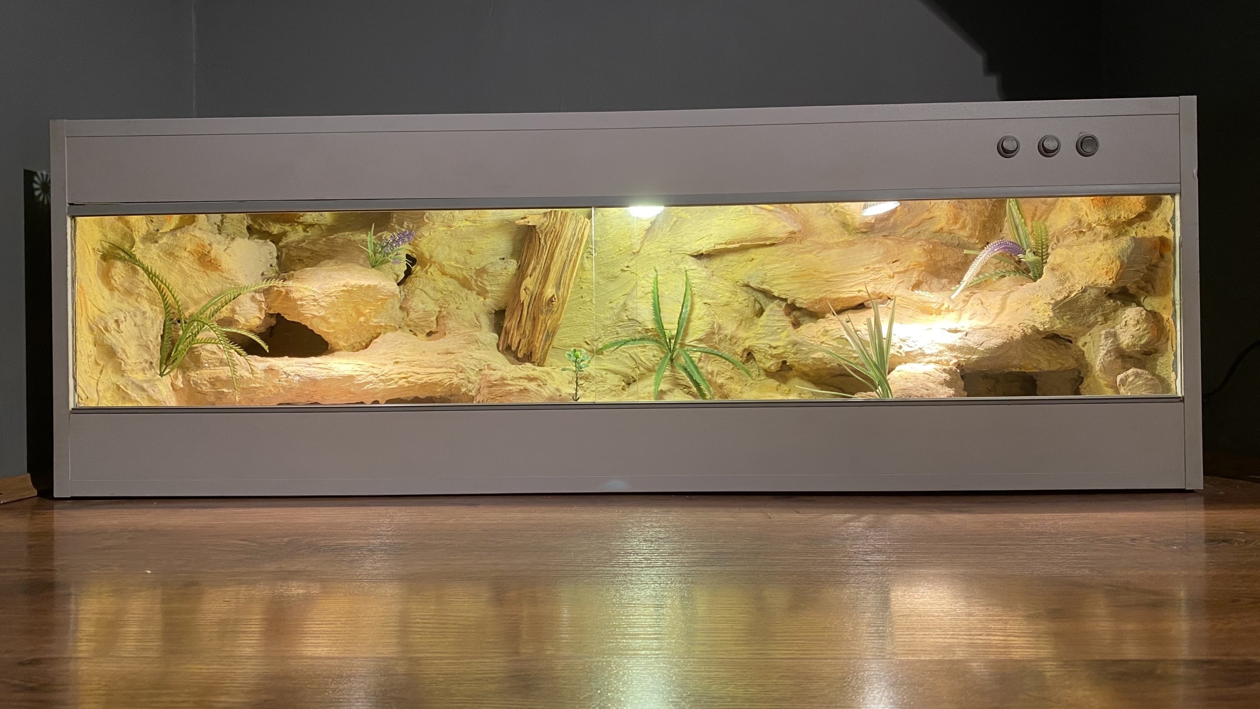 Terrarium 120x40x40 dla jaszczurki agama brodata | Śrem | Kup teraz na ...