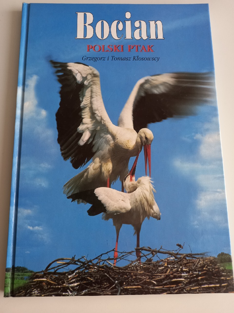 Bocian Polski ptak Kłosowscy | Wrocław | Kup teraz na Allegro Lokalnie
