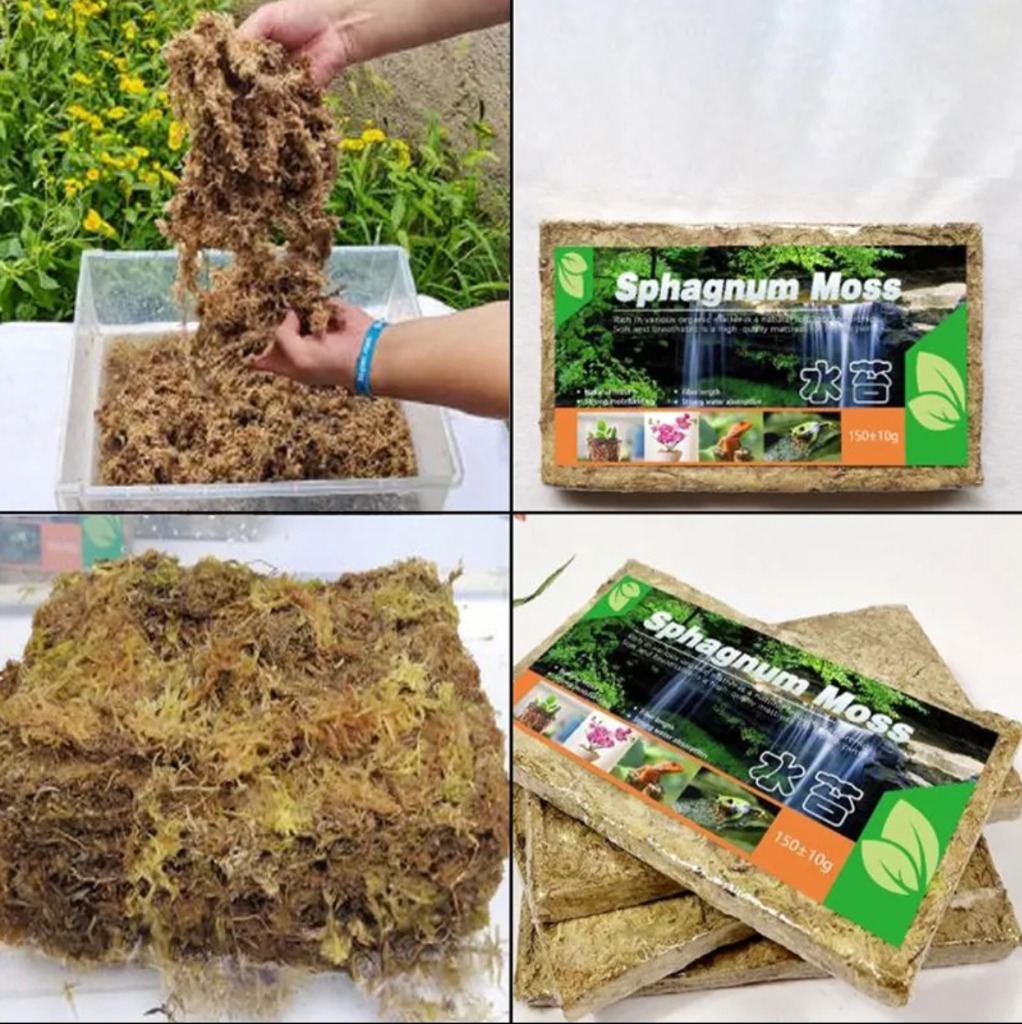 Mech Torfowiec Ukorzeniacz Sphagnum Moss 12L 150g | Rybna | Kup teraz ...