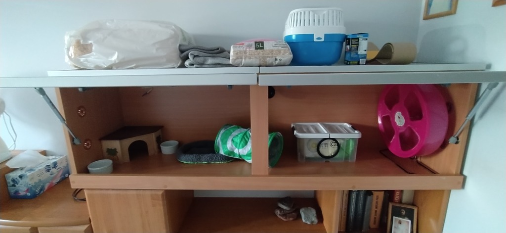 Terrarium dla jeża chomika świnki morskiej itp | Lublin | Ogłoszenie na ...