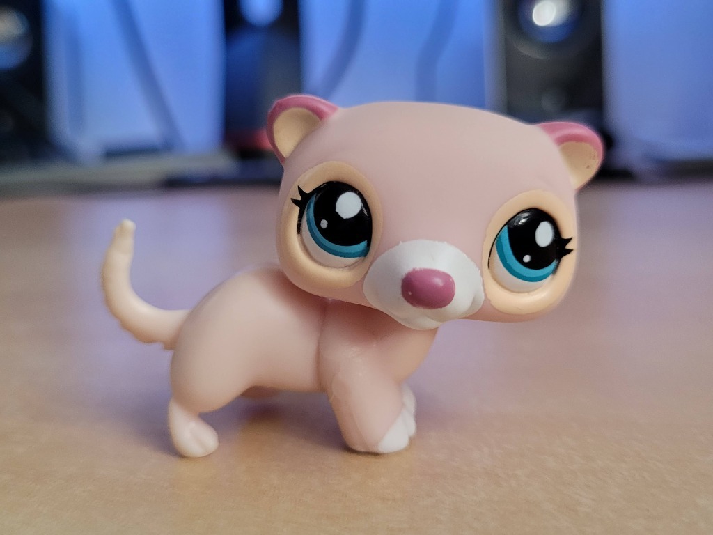 LPS Littlest Pet Shop fretka łasica wydra #1624 | Środa Wielkopolska ...
