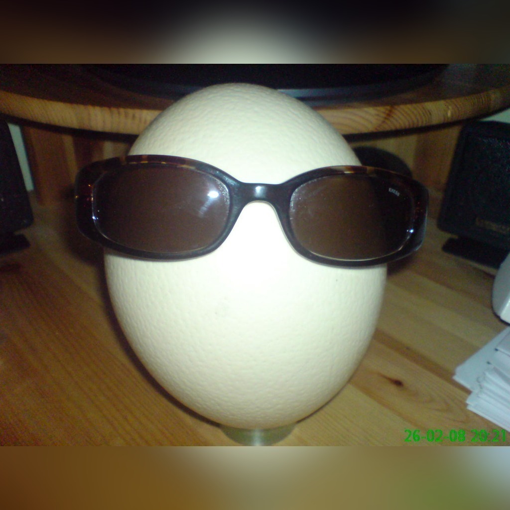 wydmuszki jaja strusia | Ochraniew | Kup teraz na Allegro Lokalnie