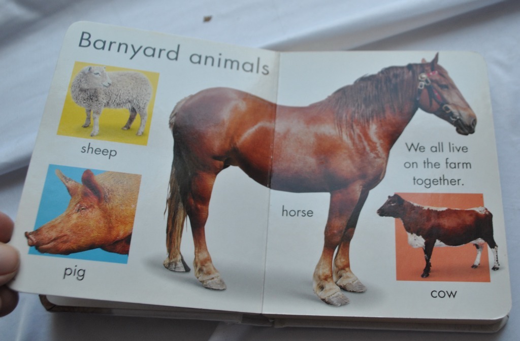 Happy baby animals - board book angielski dzieci | Warszawa | Kup teraz ...