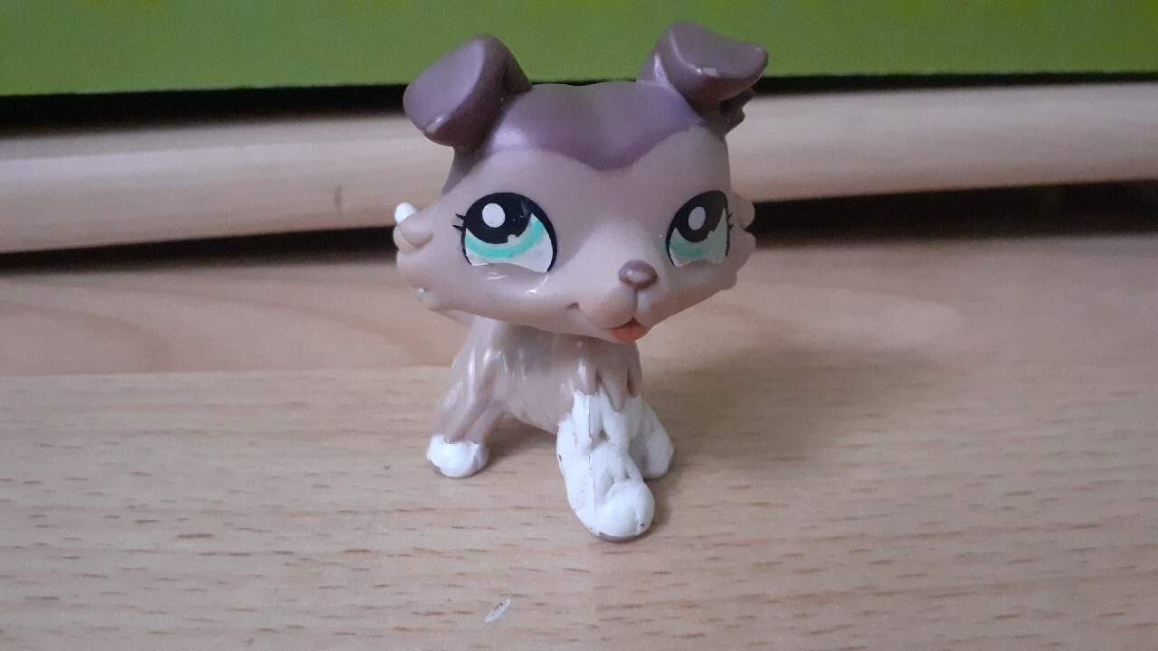 Lps collie pop littlest pet shop pop | Tarnowskie Góry | Ogłoszenie na ...