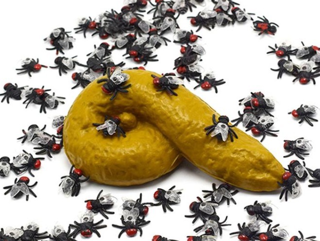 SZTUCZNA KUPA STOLEC zrób żart + muchy !!! | Liszki | Kup teraz na Allegro Lokalnie