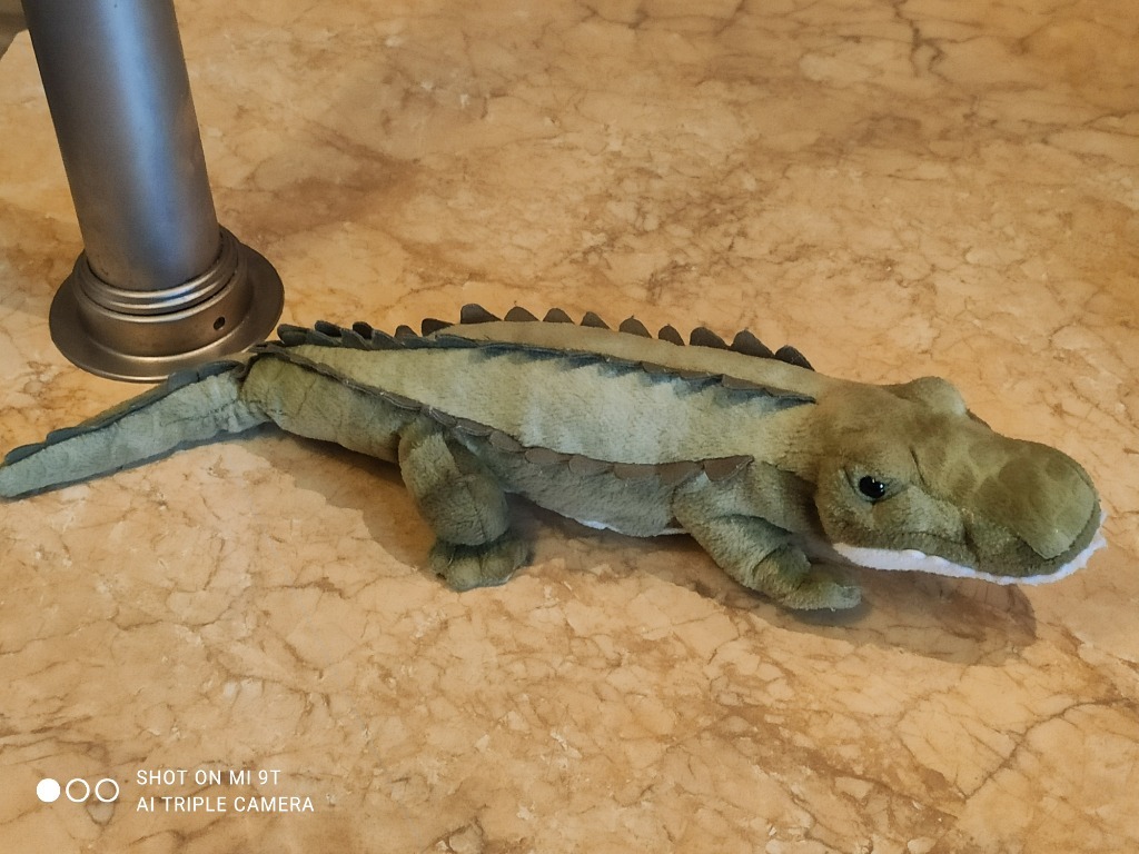 Zabawka Stream Line Alligator | Warszawa | Kup teraz na Allegro Lokalnie