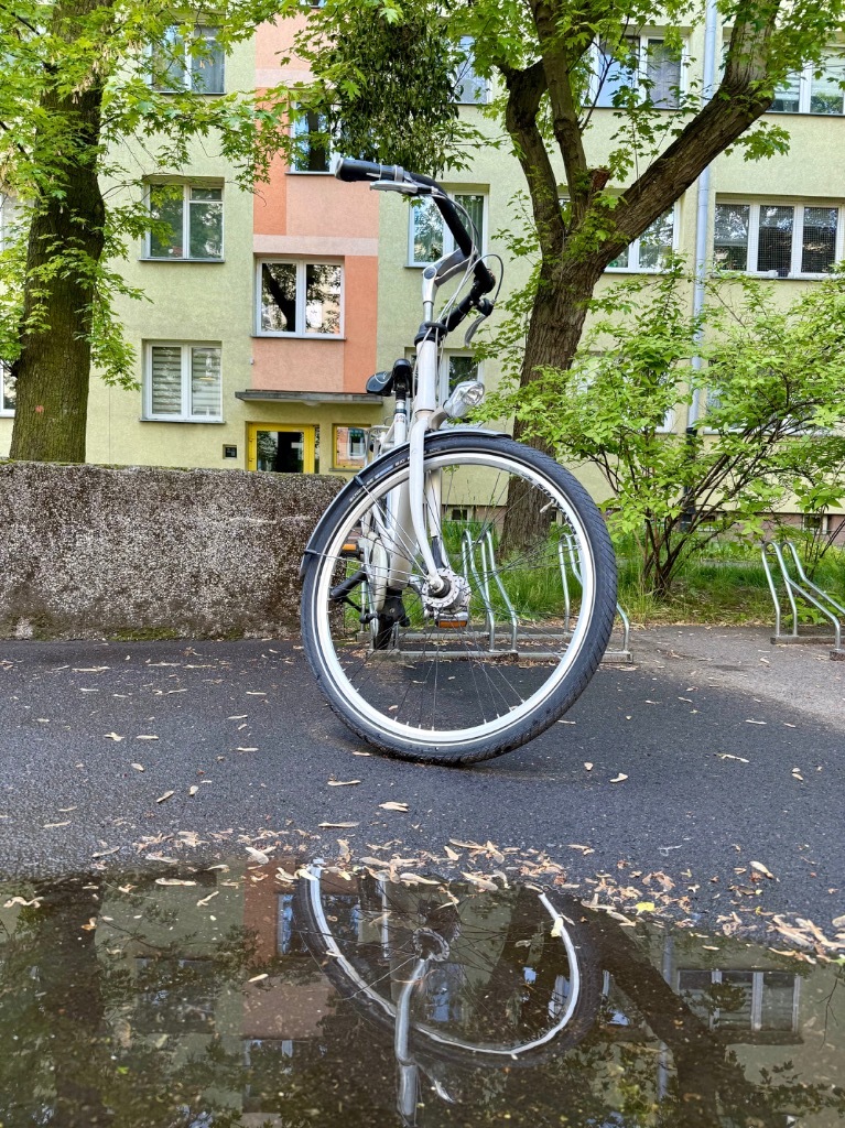 Rower miejski holenderski Batavus Mambo Deluxe 57 cm | Warszawa | Kup ...