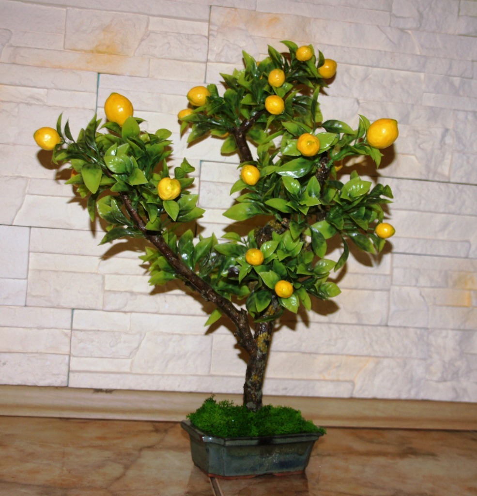 Drzewko sztuczne bonsai - miniaturka cytryny | Golina | Kup teraz na ...