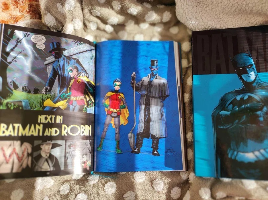 Absolute Batman & Robin: Batman Reborn, ENG | Piaseczno | Kup teraz na ...