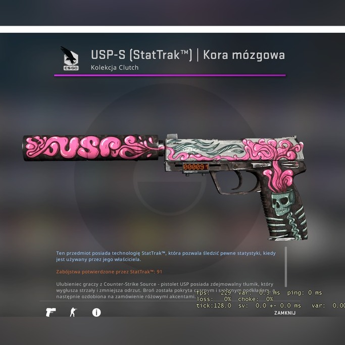 USP-S StatTrak Kora Mózgowa (Cortex) WW | Świdnica | Kup teraz na ...