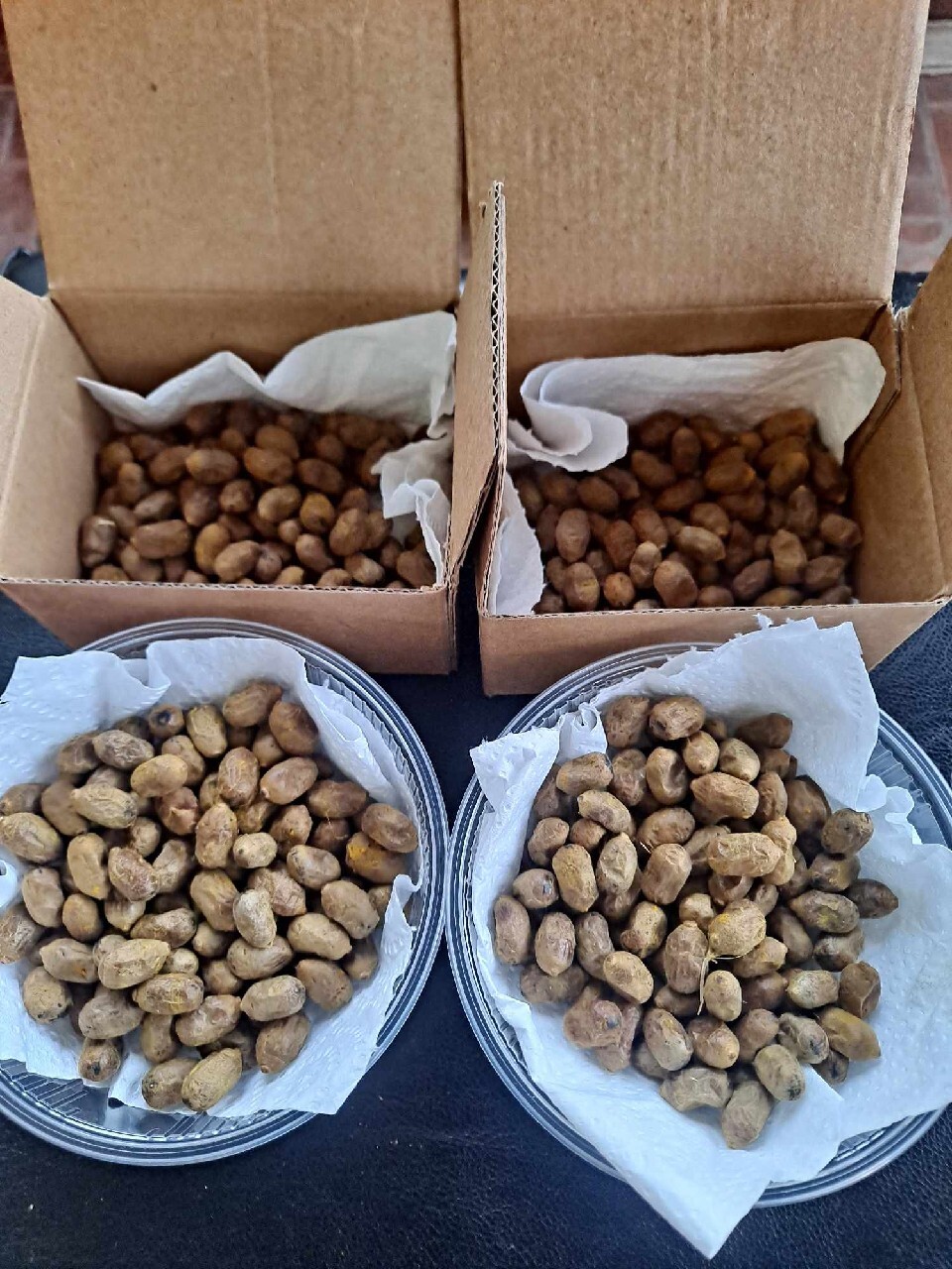 Murarka Rogata 300 szt 56 gr OSMIA CORNUTA | GŁOWNO | Kup teraz na ...