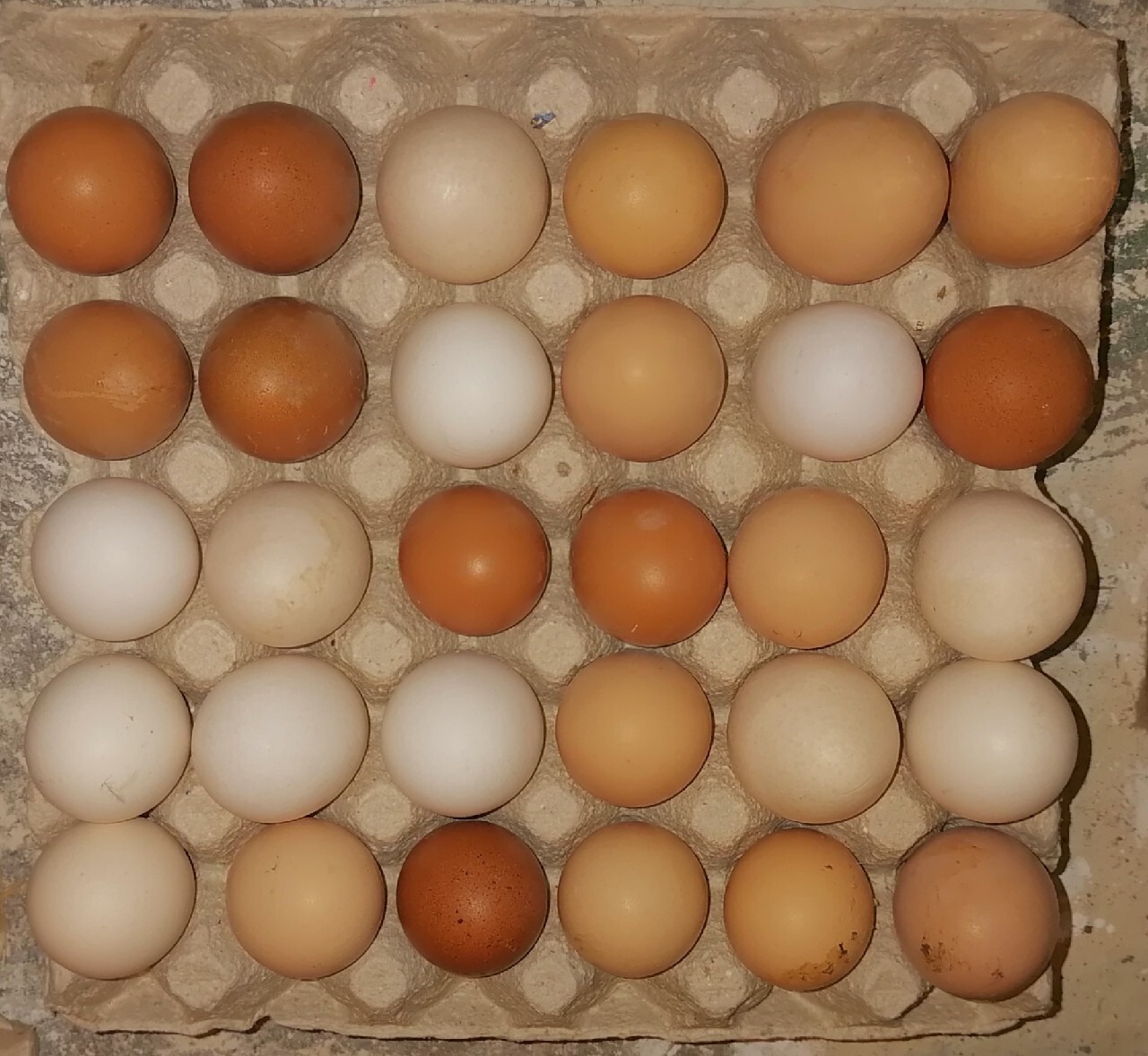 Jajka Jaja wiejskie EKOLOGICZNE WOLNY WYBIEG | Zgorzelec | Kup teraz na ...