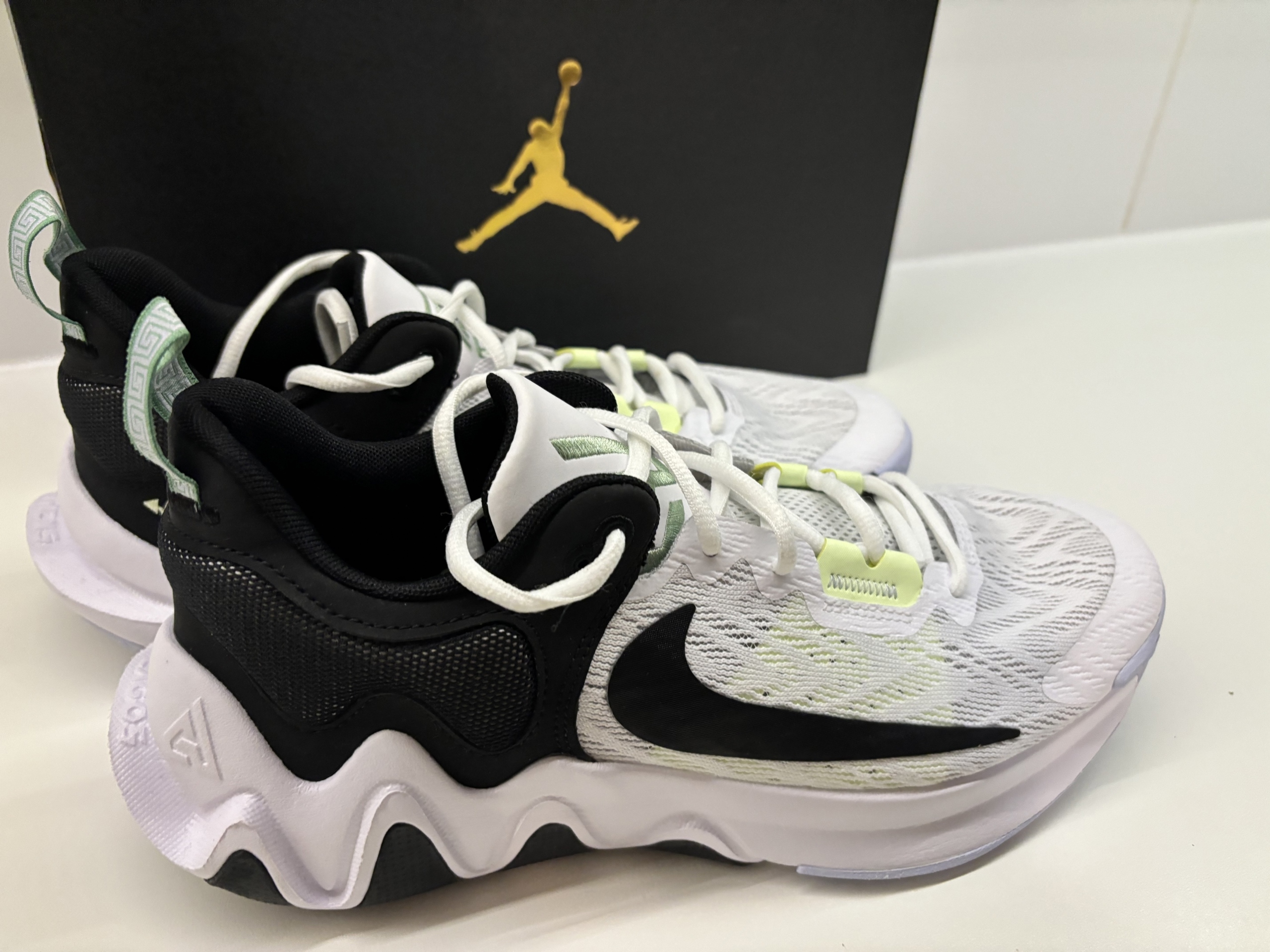 Buty nike air giannis immortalyty 2 43 | Rybnik | Kup teraz na Allegro Lokalnie