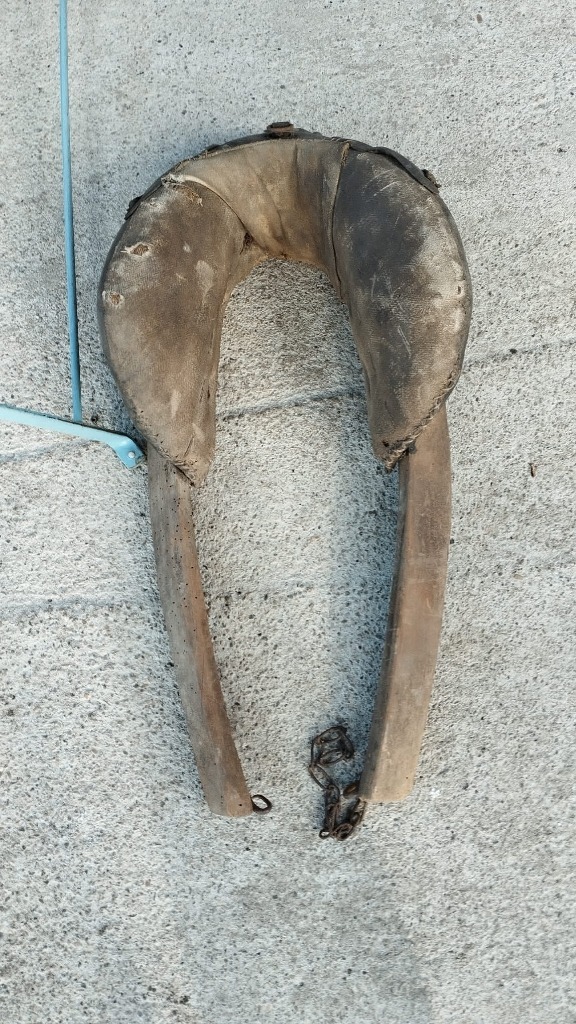 Chomonto - Niska cena na Allegro