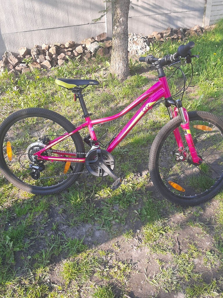 LIV ENCHANT 24 | Kielce | Kup teraz na Allegro Lokalnie