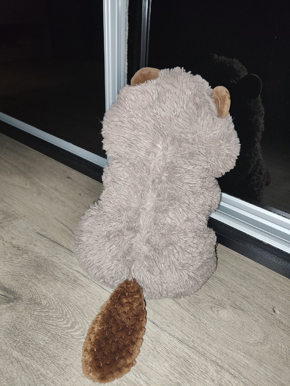 Bóbr Julek - Niska cena na Allegro.pl