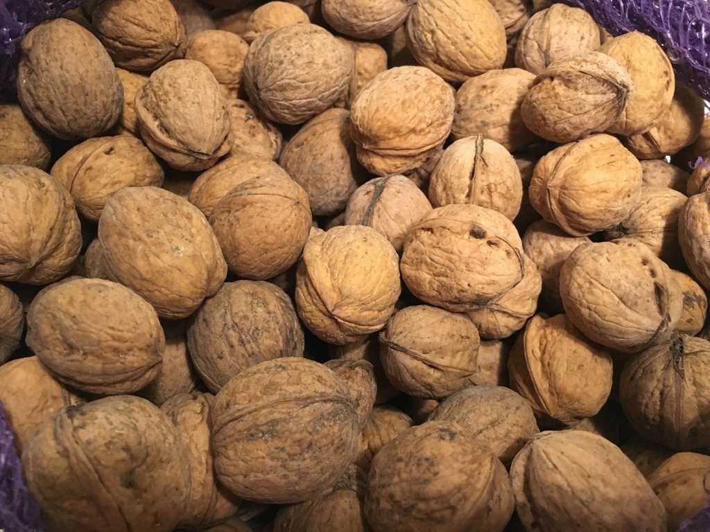 Orzechy włoskie 10kg przydomowe eko. | Bejsce | Kup teraz na Allegro ...