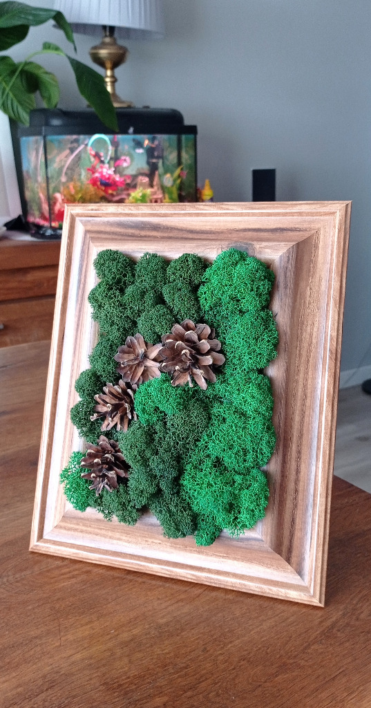 Żywy mech obraz LAS w domu Ramka drew | Bytoń | Kup teraz na Allegro ...