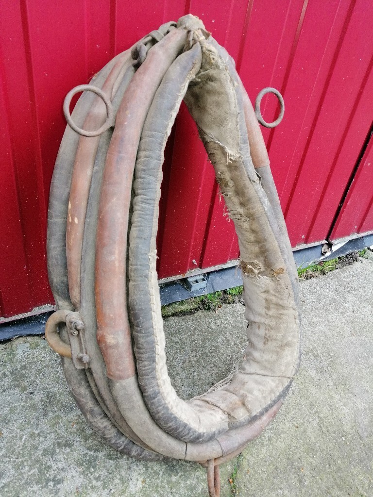 STARE HOMONTO NA KONIA | Łańcut | Kup teraz na Allegro Lokalnie