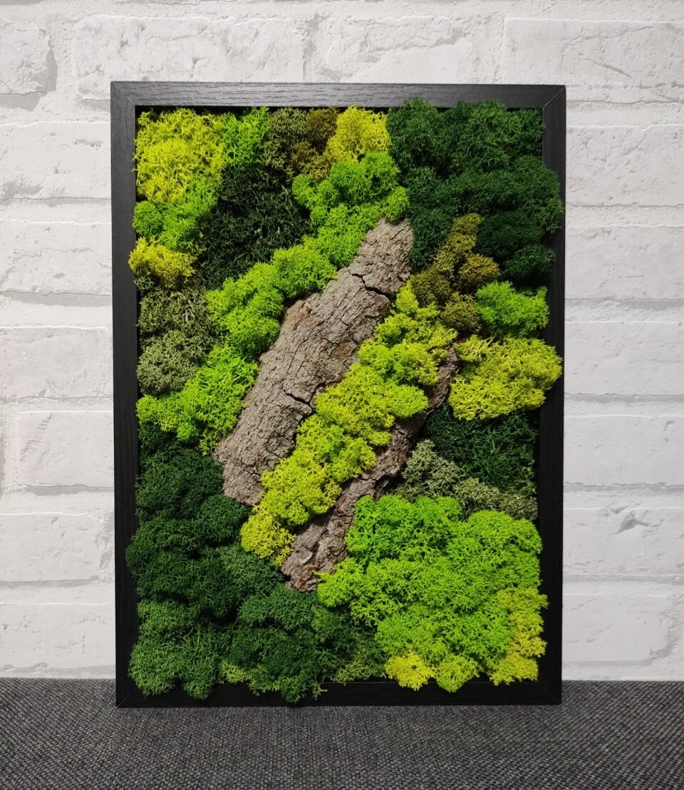 Prezent dzień mamy obraz mech chrobotek 23x32cm | Ruda Śląska | Kup ...