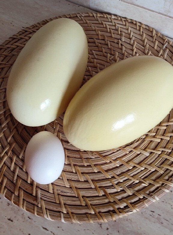 Jaja Strusie - Niska cena na Allegro.pl