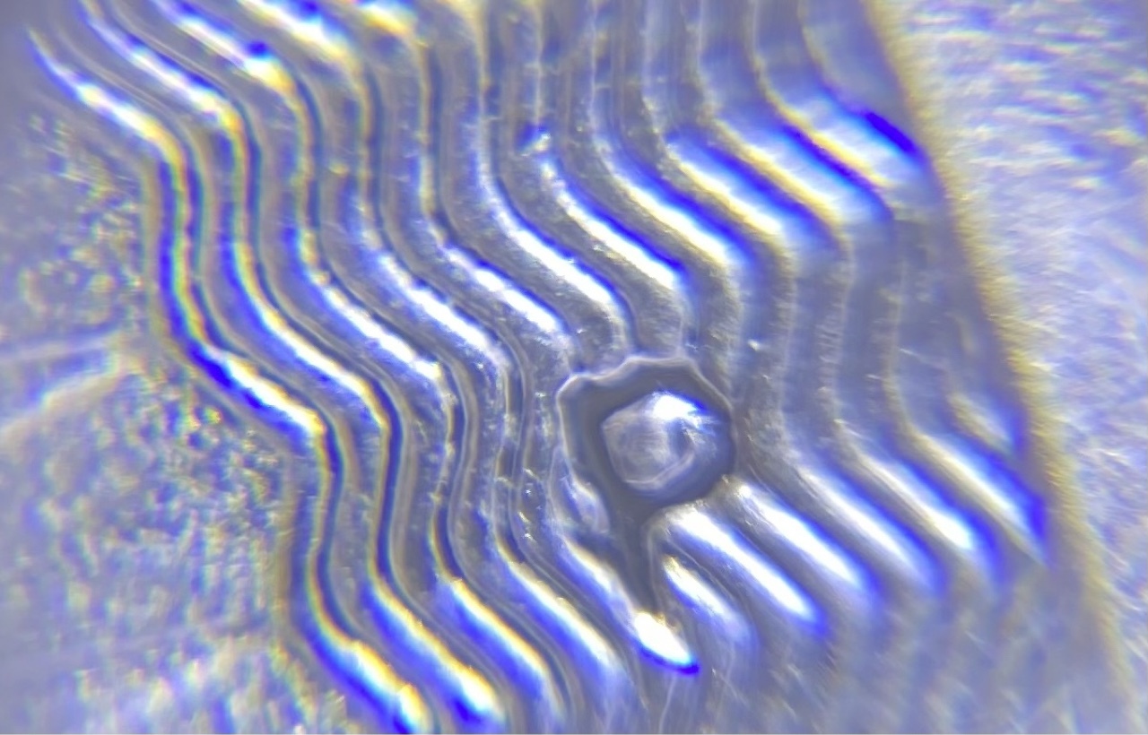 Moneta platyna inwestycyjna 100 dolarów 1oz 9995 | Gdynia | Ogłoszenie ...