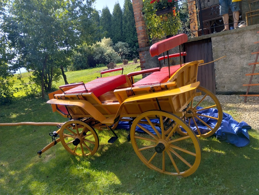 Bryczka Konna Powóz Wagonetka | Janowice | Ogłoszenie na Allegro Lokalnie