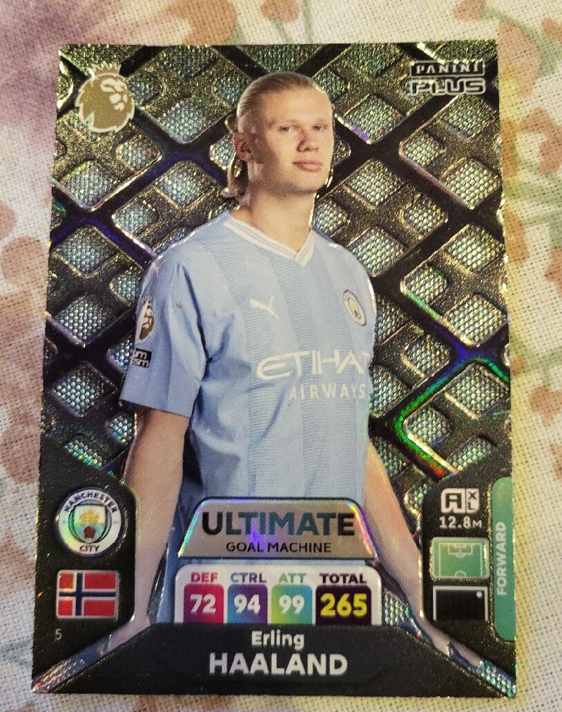 Karta halland Panini plus | Brusy | Kup teraz na Allegro Lokalnie