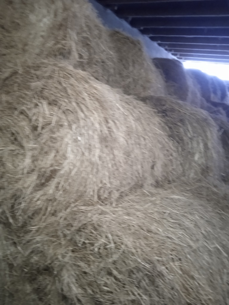 Siano w belach 120x120 suche | Ostrów Lubelski | Kup teraz na Allegro ...