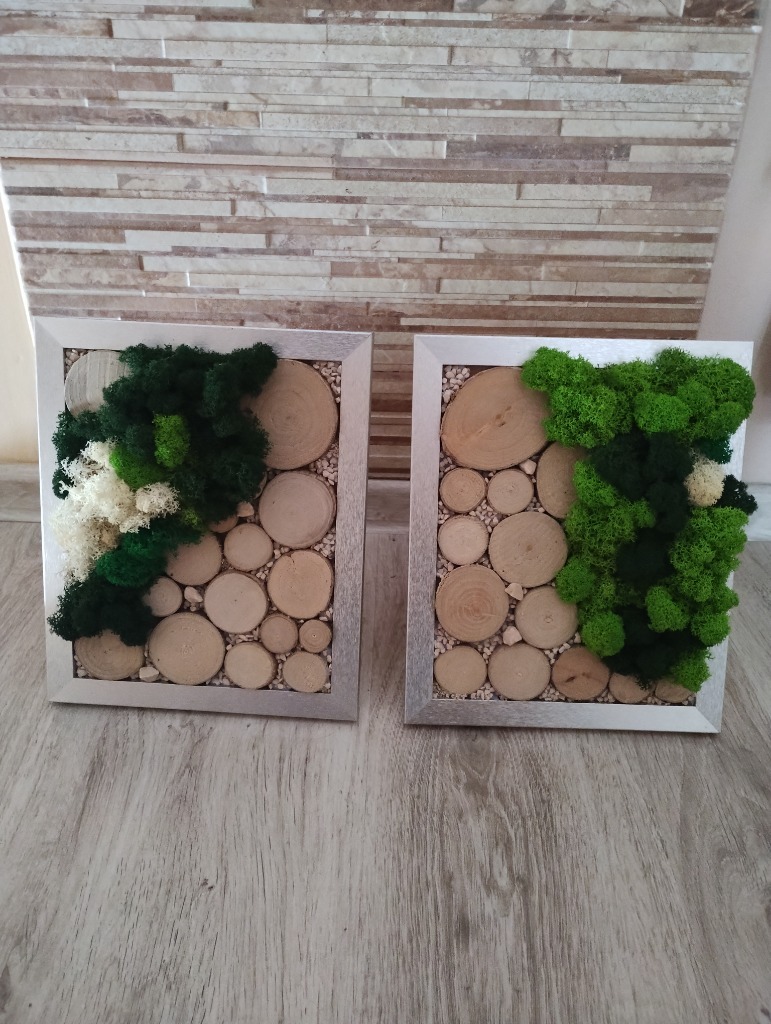 Obraz z mchem chrobotkiem prezent ślub dekoracje | Kryłów | Kup teraz ...