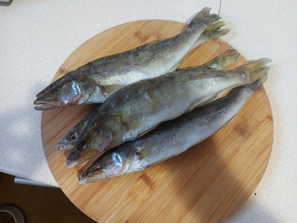 Ryba suszona do piwa | Grodzisk WLKP | Ogłoszenie na Allegro Lokalnie