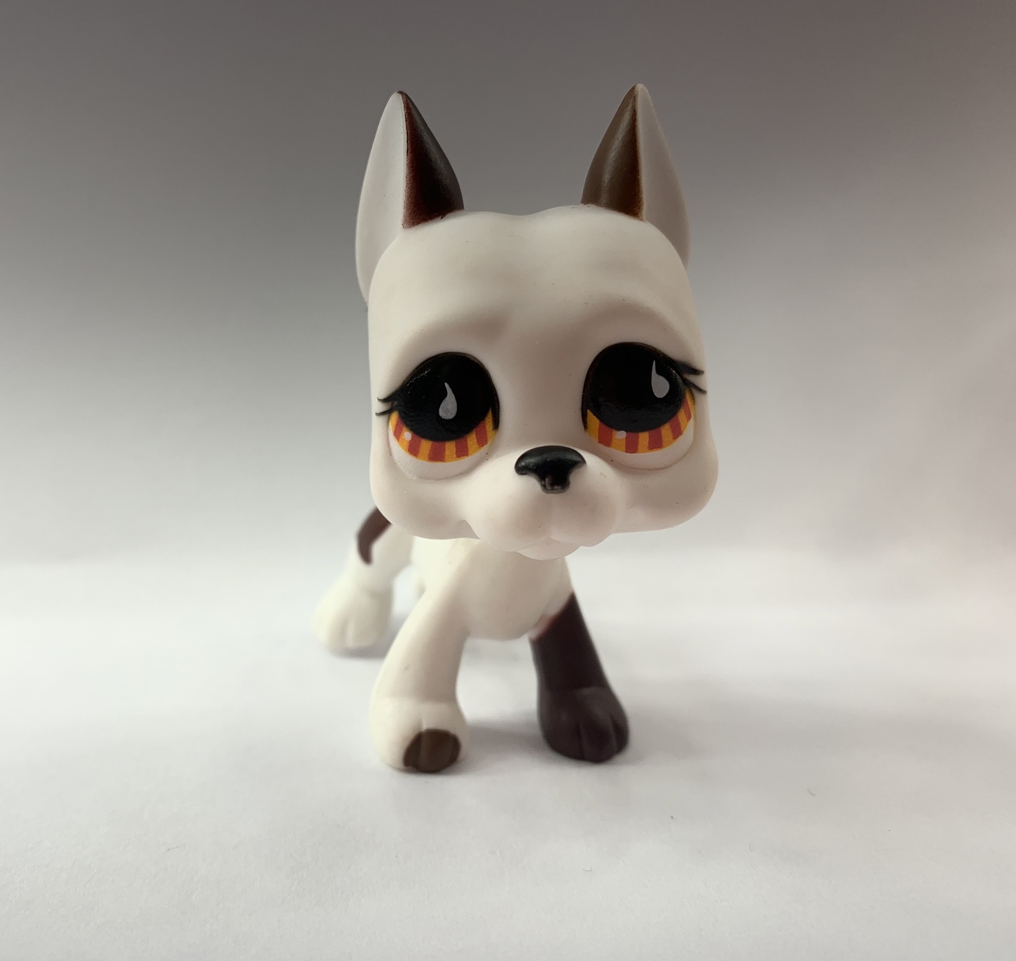 LPS POP DOG NIEMIECKI #750 | Kraków | Kup teraz na Allegro Lokalnie