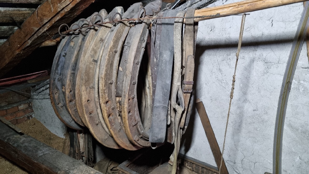 Homonto zabytkowe | Nowy Targ | Kup teraz na Allegro Lokalnie