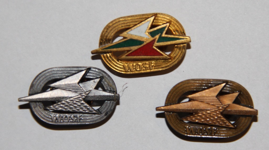 ODZNAKA WOJSKOWA SPRAWNOŚCI FIZYCZNEJ WOSF 1969 KOMPLET | Warszawa ...