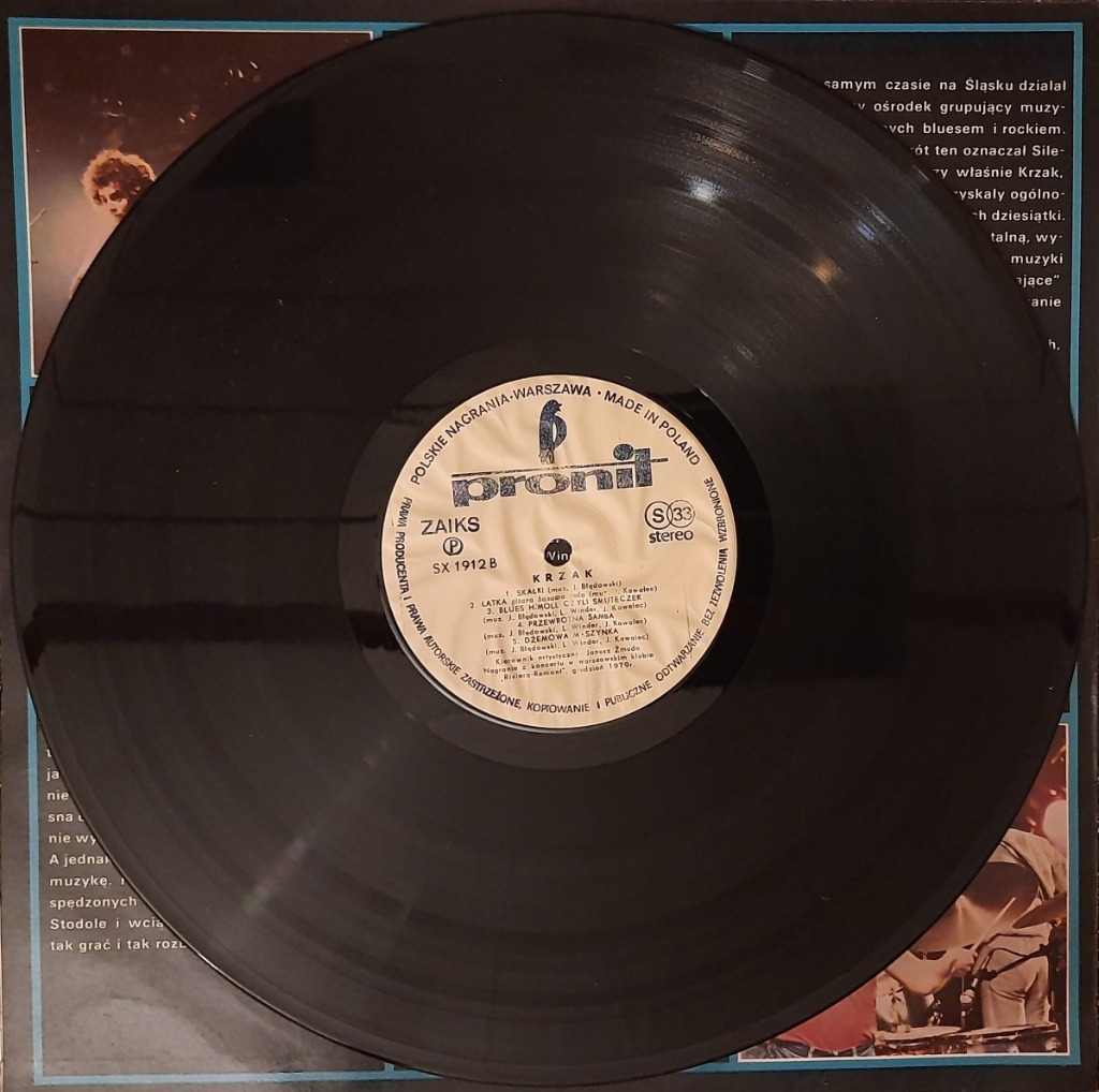 Krzak "Blues Rock Band" - Płyta winylowa ^ | Rybnik | Kup teraz na ...