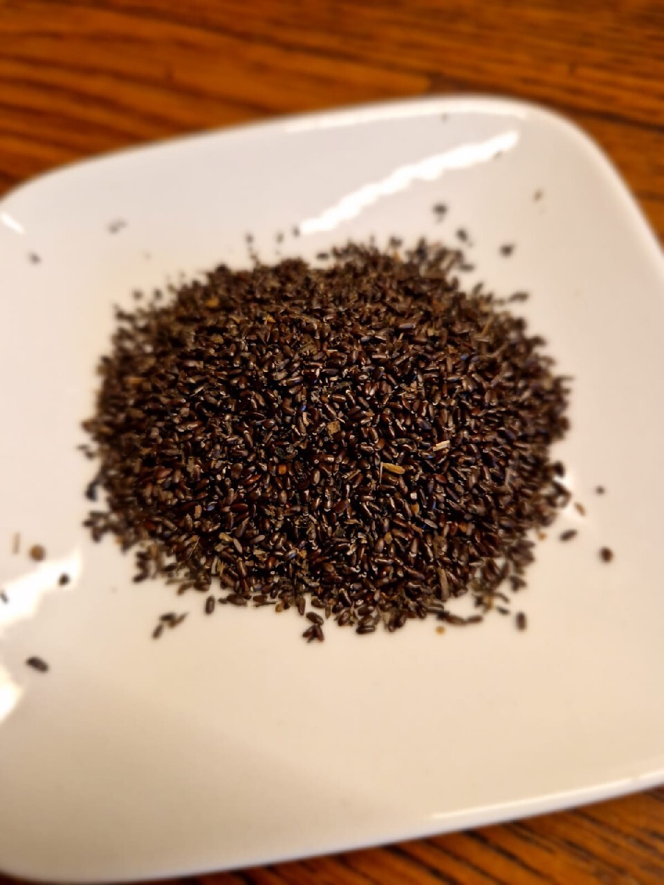 Lawenda nasiona 20 gram | Legnica | Kup teraz na Allegro Lokalnie