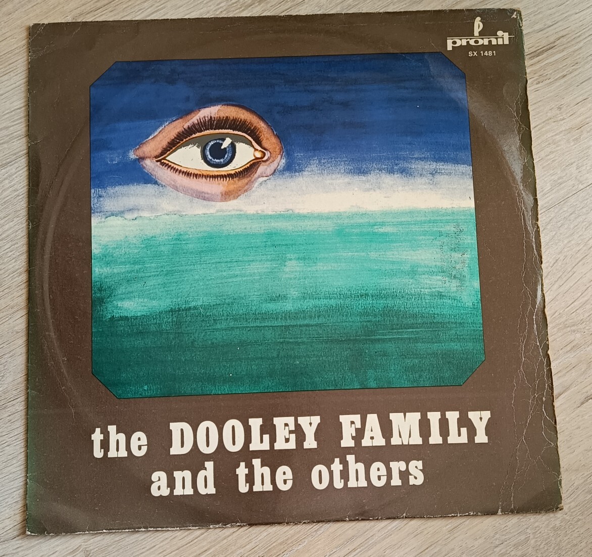 Winyl The Dooley Family | Dzialdowo | Licytacja na Allegro Lokalnie