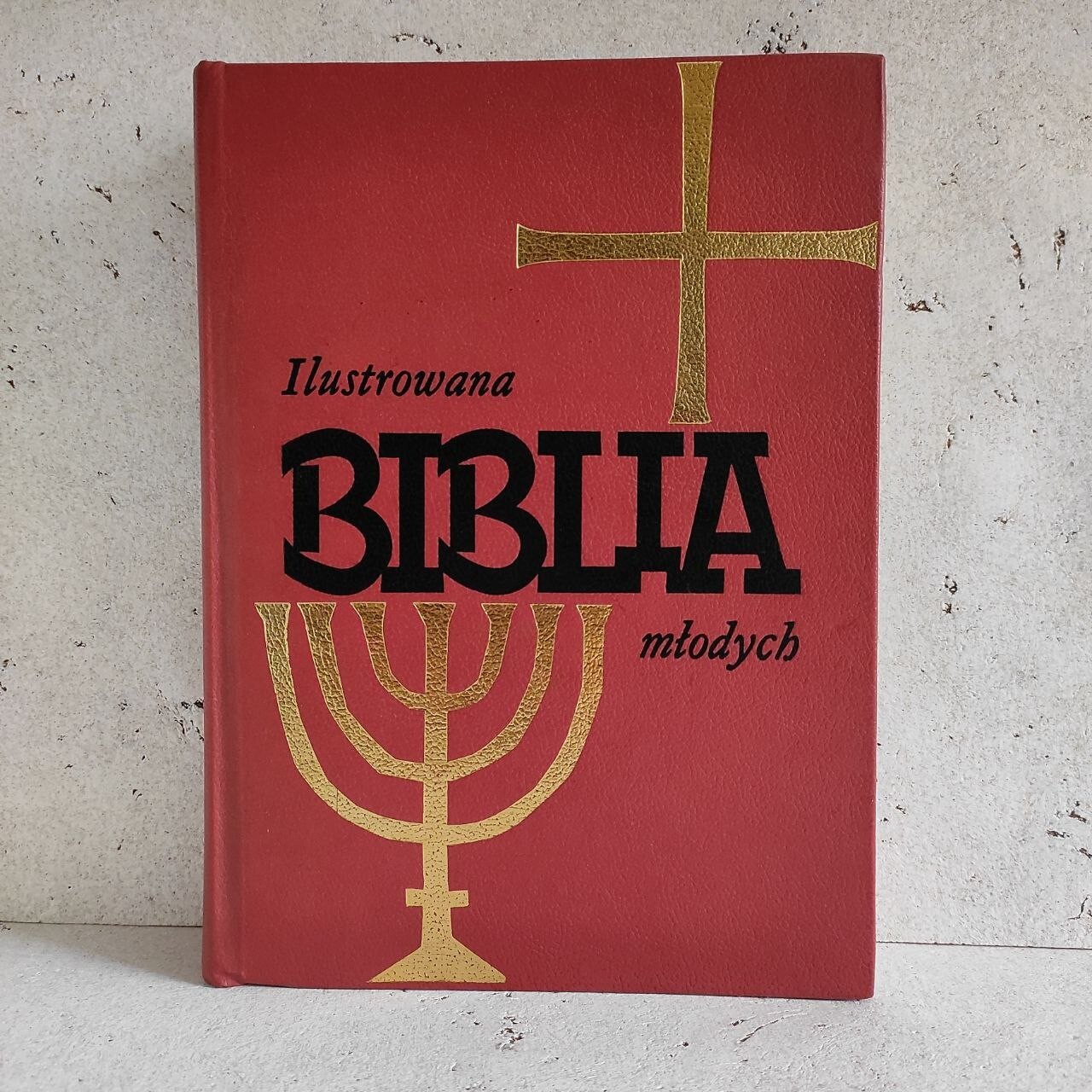 Ilustrowana biblia młodych | Racibórz | Kup teraz na Allegro Lokalnie