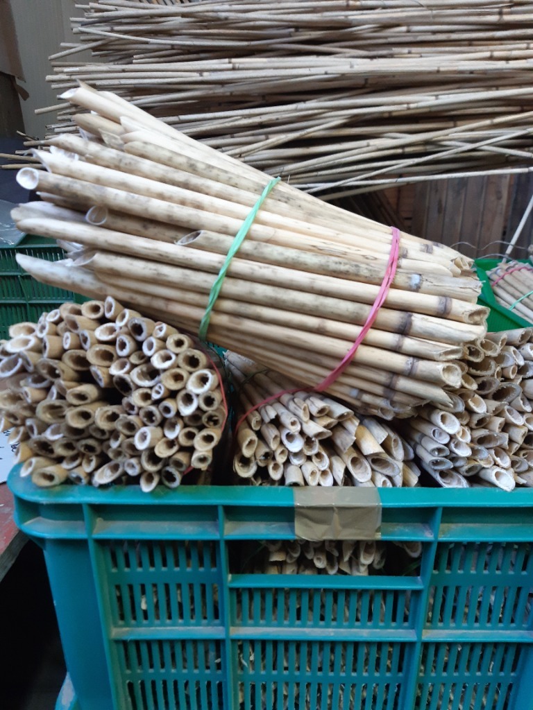 Murarka Rogata - Niska cena na Allegro.pl