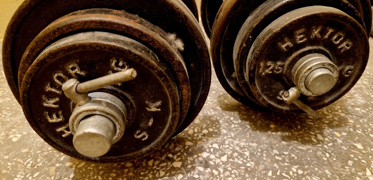 Hantle Hektor 2x20kg | Warszawa | Kup teraz na Allegro Lokalnie