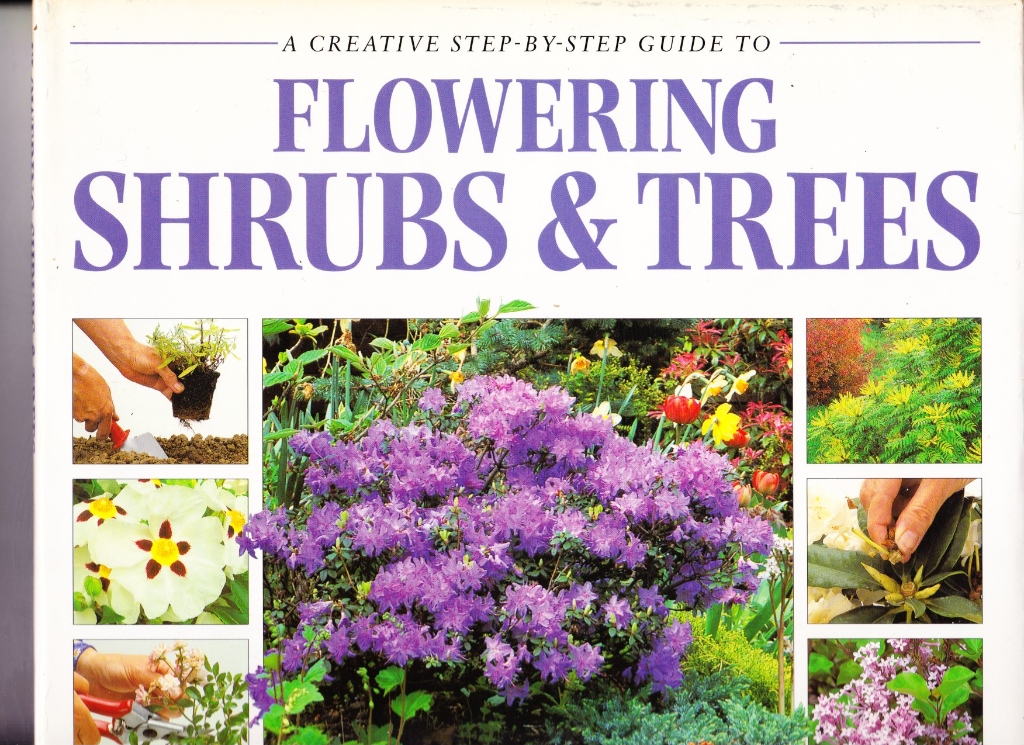 Step-by-step guide to flowering shrubs & trees | PŁOTY | Kup teraz na ...