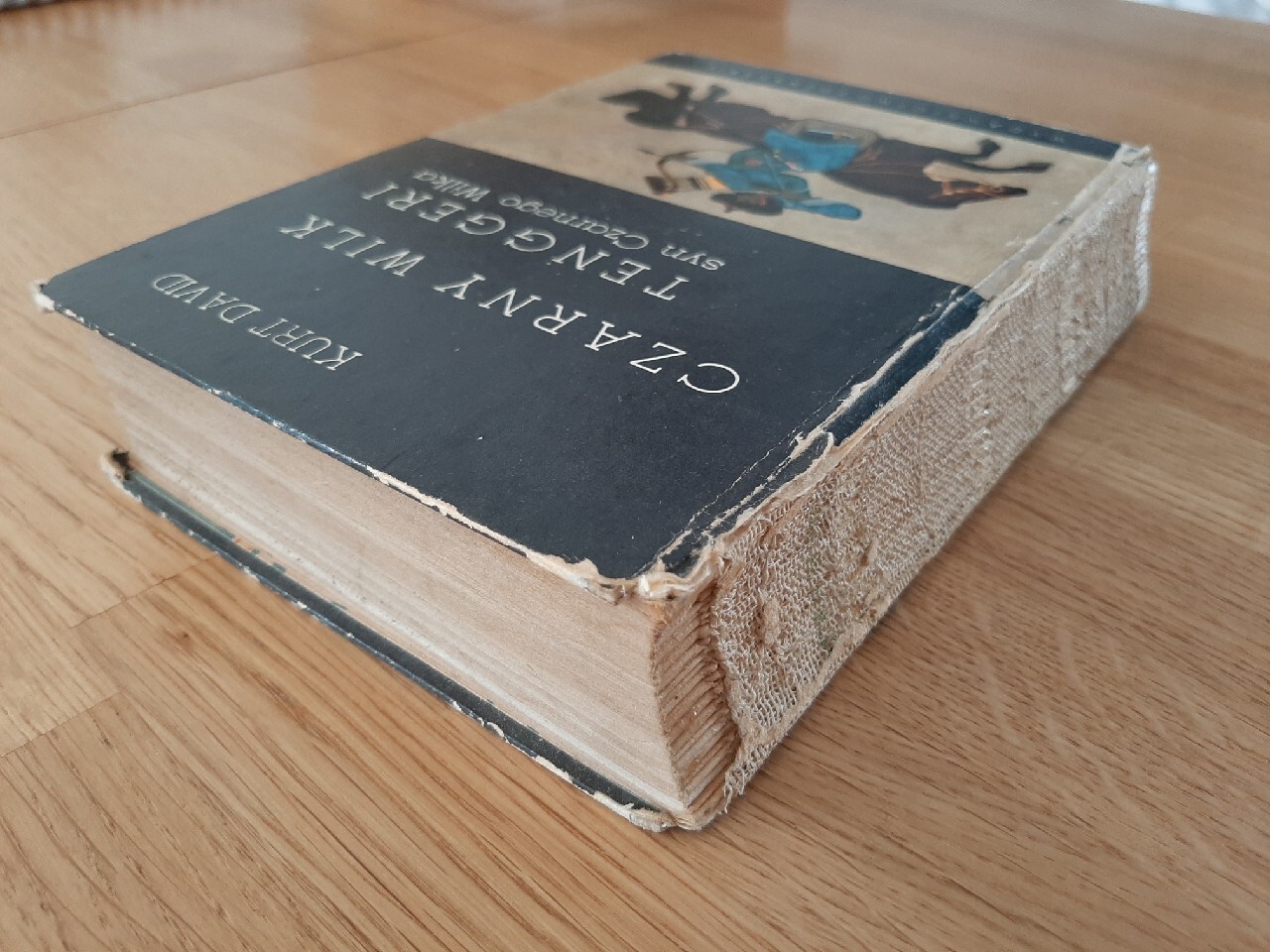 Kurt David Czarny Wilk Tangeri syn Czarnego Wilka | Gdańsk | Kup teraz ...