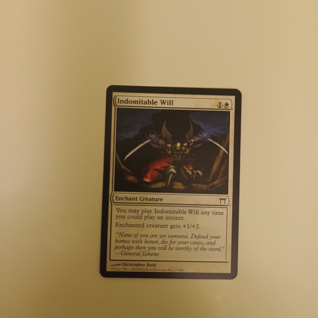 Indomitable Will MTG white | Warszawa | Kup teraz na Allegro Lokalnie