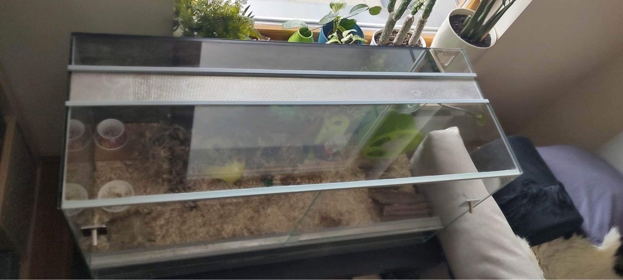 Terrarium 100x40x50 | Warszawa | Ogłoszenie na Allegro Lokalnie