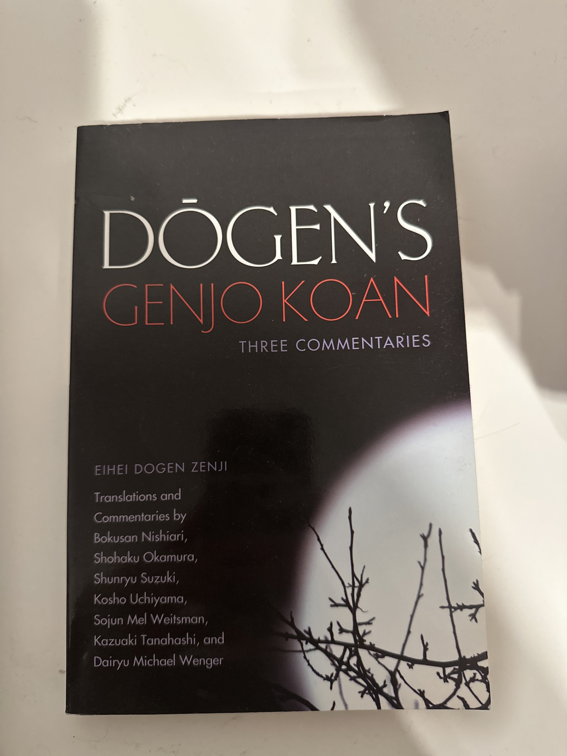 Dogen's Genjo Koan. Domen Eihei | Kraków | Kup teraz na Allegro Lokalnie