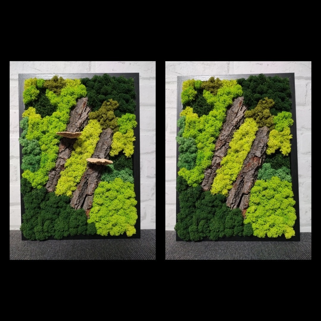 Prezent dzień mamy obraz mech chrobotek 23x32cm | Ruda Śląska | Kup ...