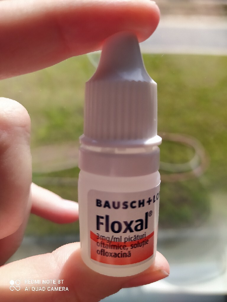 Floxal 0,3%, krople do oczu, 5ml. Nowe, nieużywane | Olsztyn | Kup ...