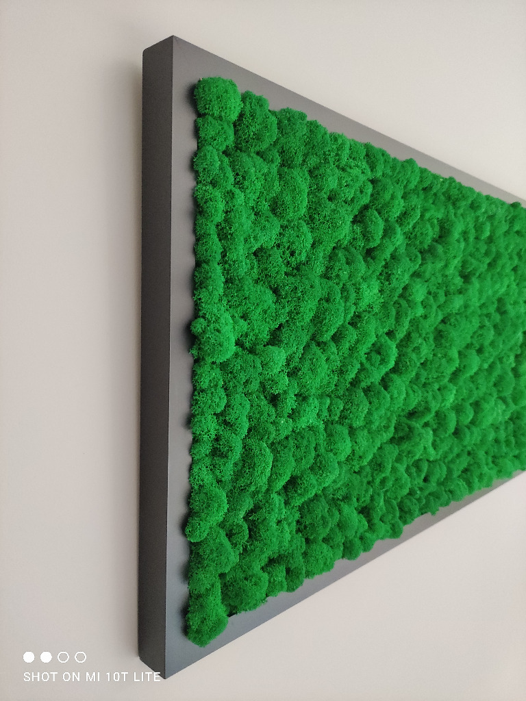 Obraz Mech Chrobotek, Rama Czarna BOX | Siedlec | Kup teraz na Allegro ...