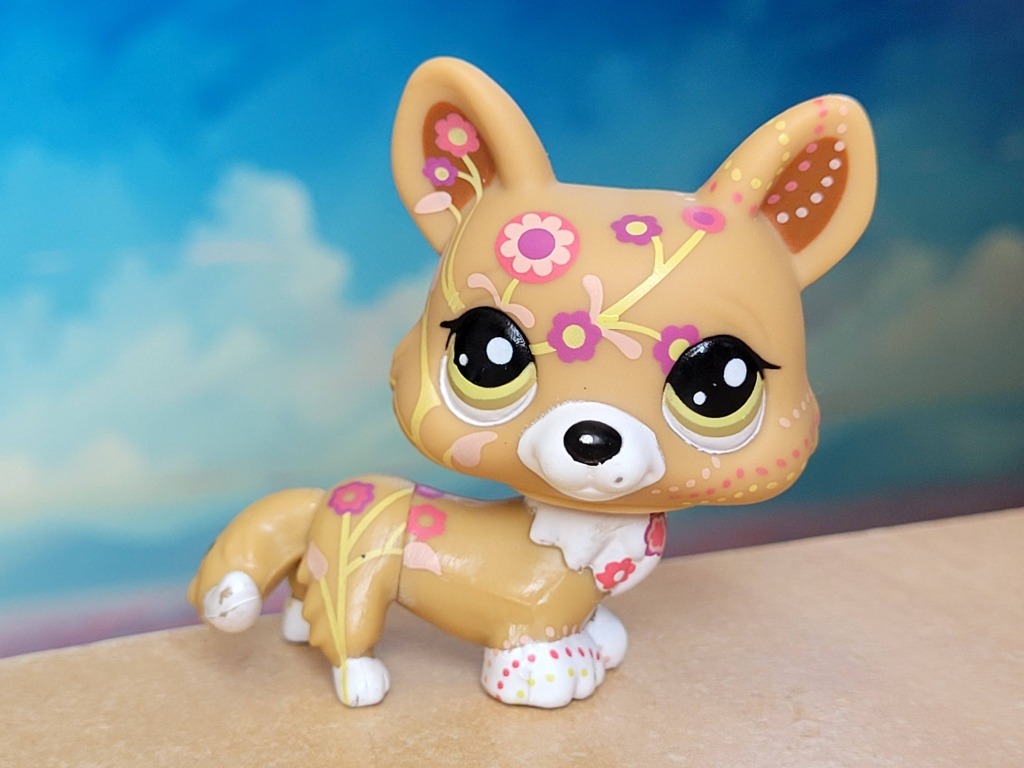 LPS Littlest Pet Shop pies piesek corgi #1851 | Środa Wielkopolska ...